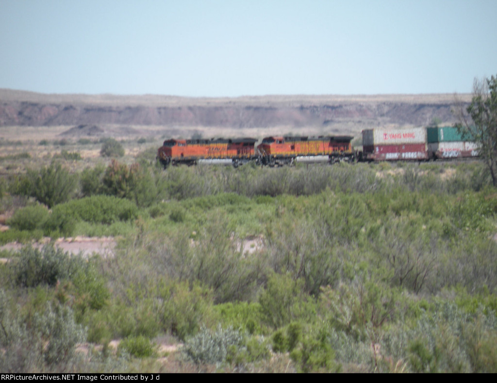 Double stacks in the petrified forest